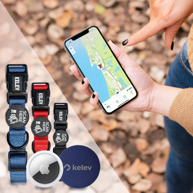 הערכה המושלמת לכלב – Kelev